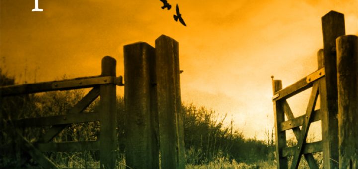 Vadeletras - Libros y literatura - Blog Literario